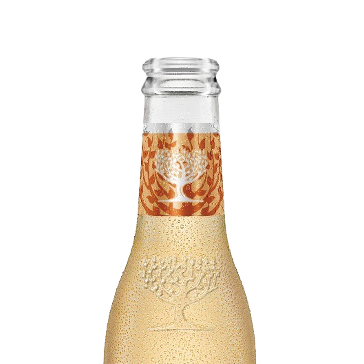 Ginger ale 20cl – Crombé Wines
